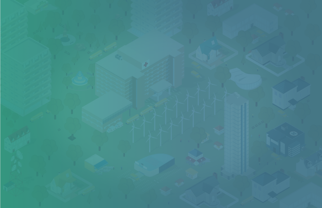 About the Healthcare Anchor Network (HAN)